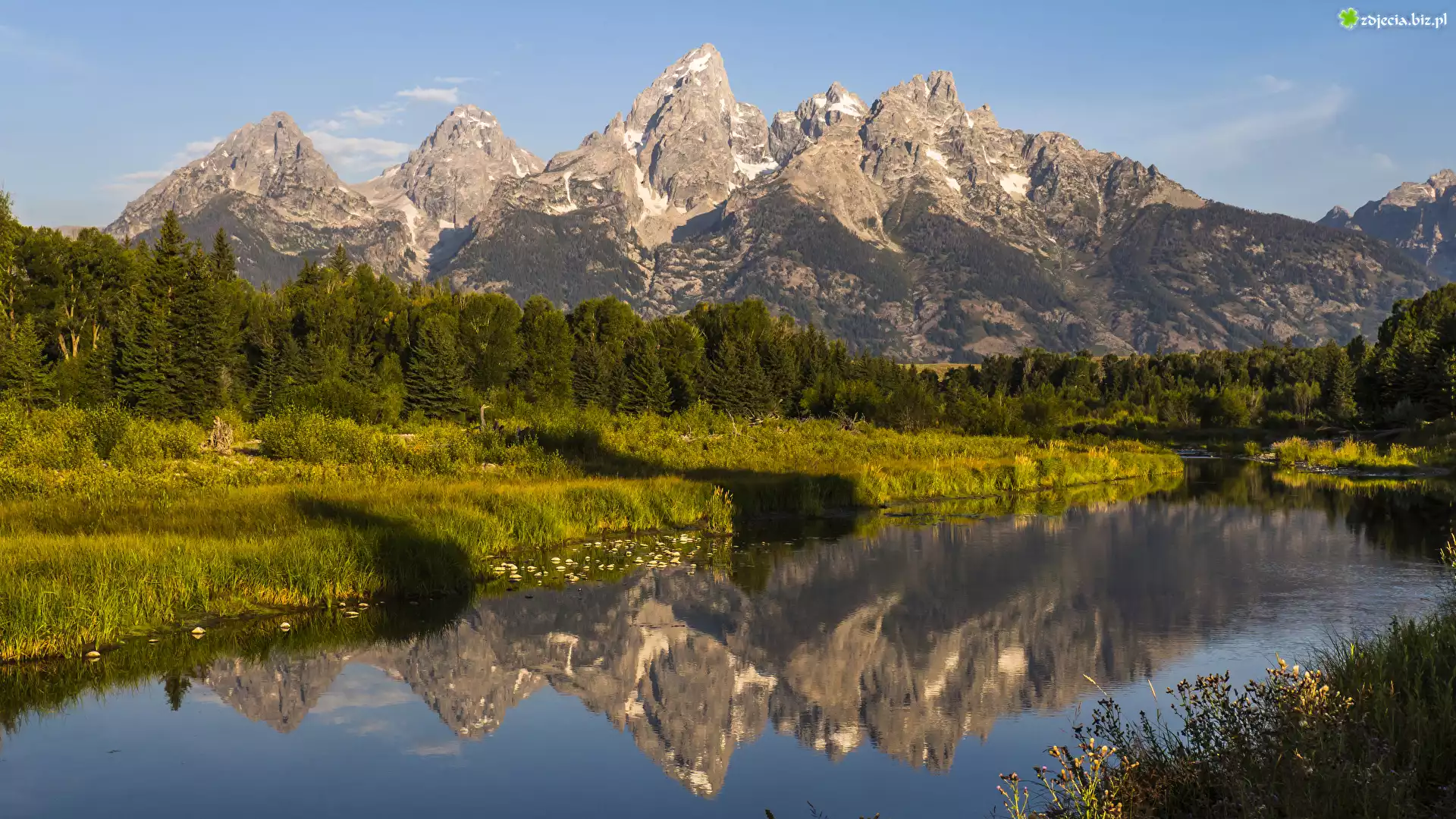 Zdj cie Park Narodowy Grand Teton Rzeka G ry Teton Range Drzewa